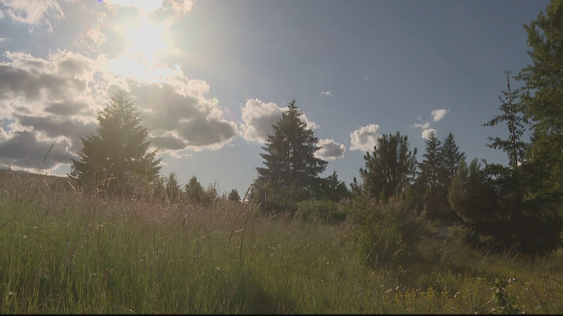 Multnomah County warns of rising tick activity across Portland metro area