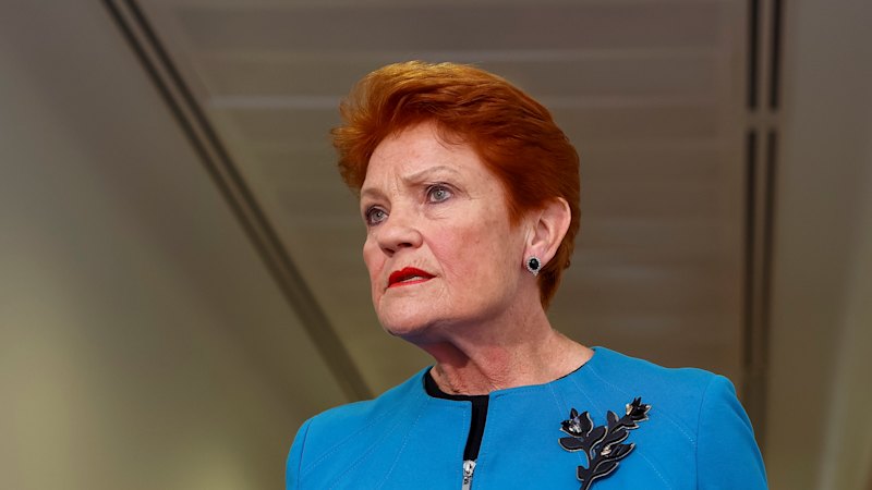 Pauline Hanson opens up on domestic violence, prison and racism claims