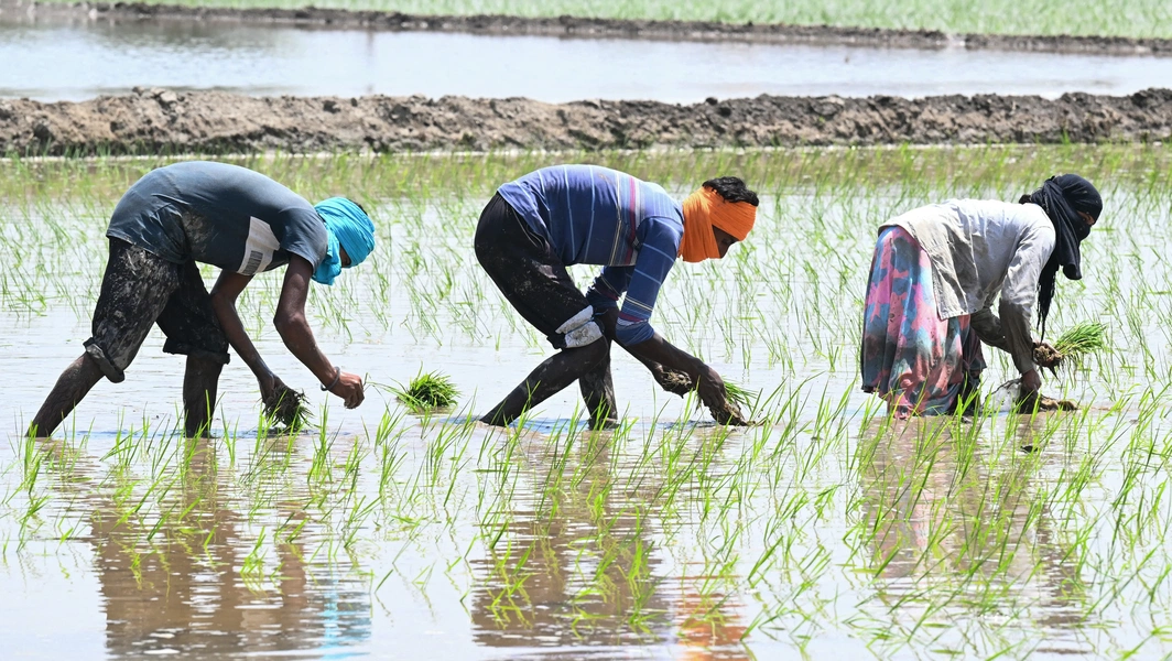World Bank, India push food processing to boost South Asia jobs