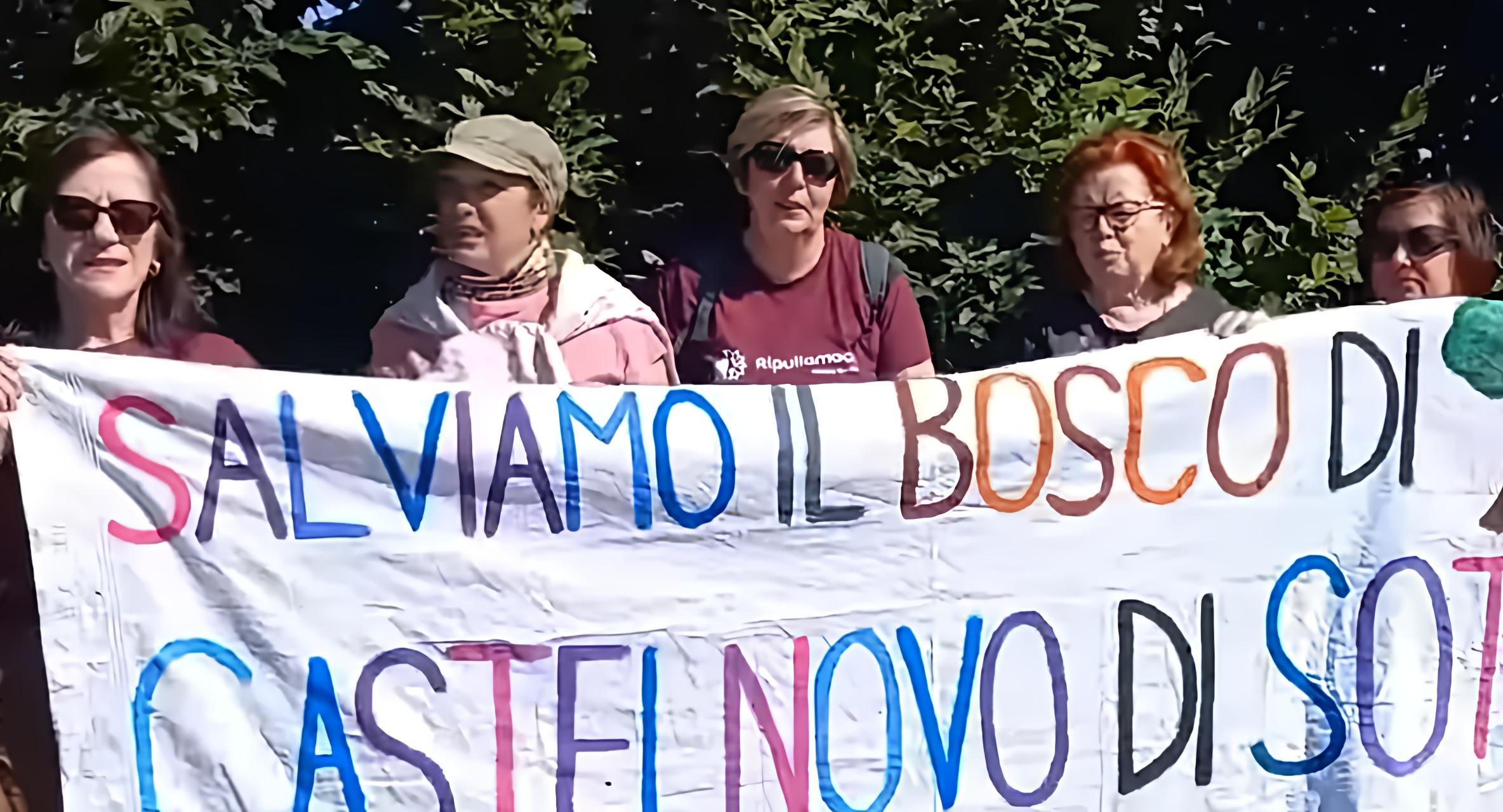 Castelnovo Sotto, eventi per salvare il Bosco Spontaneo