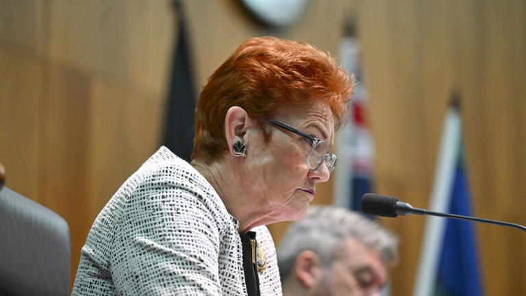 Tears as Pauline Hanson opens up on jail time, DV