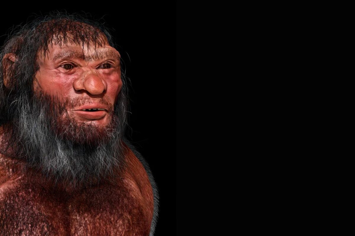 The incredible true story of the cave that exposed a lost branch of ...