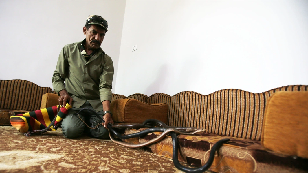 8 common snake hiding spots around homes