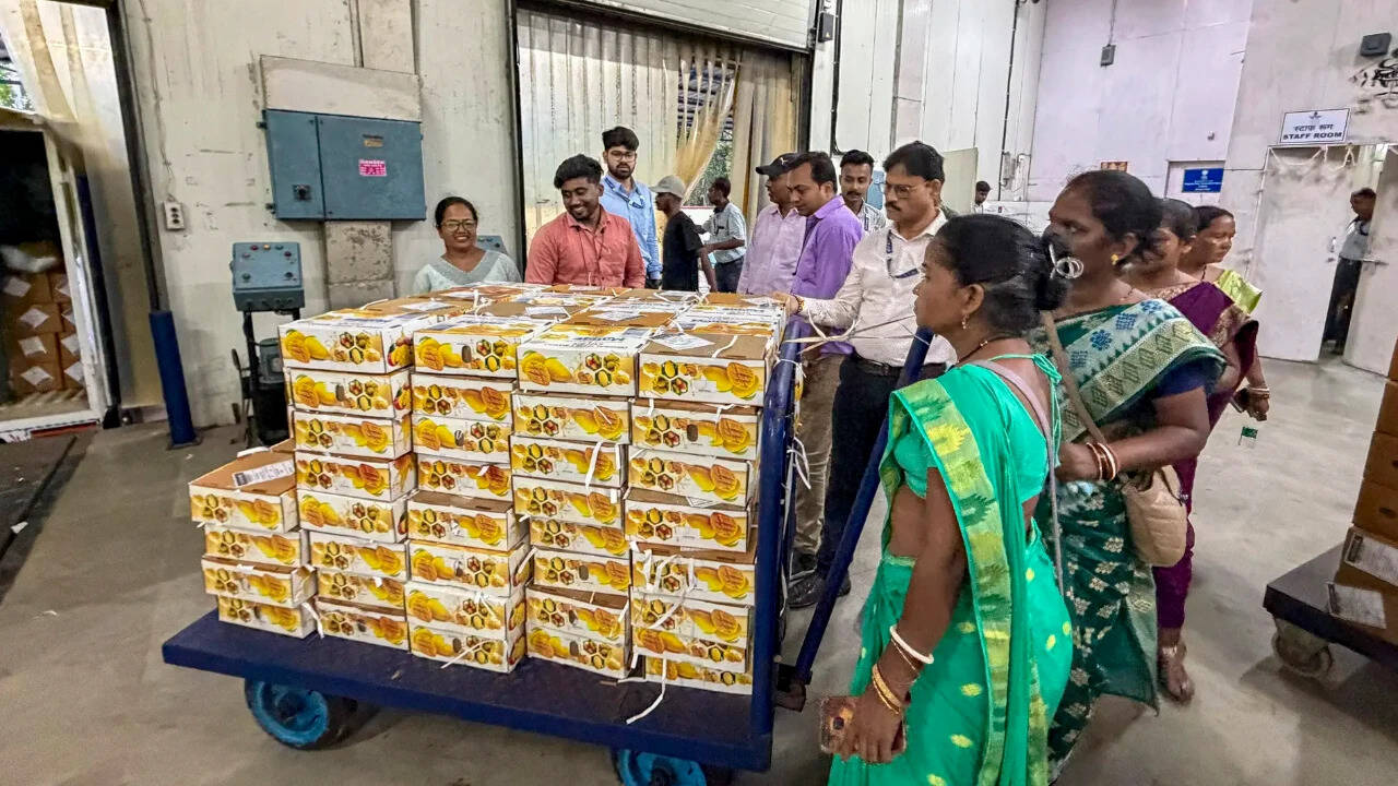'No ban': Nepal denies any restrictions on Indian mango imports