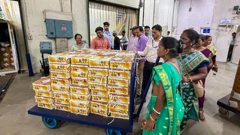 'No ban': Nepal denies any restrictions on Indian mango imports
