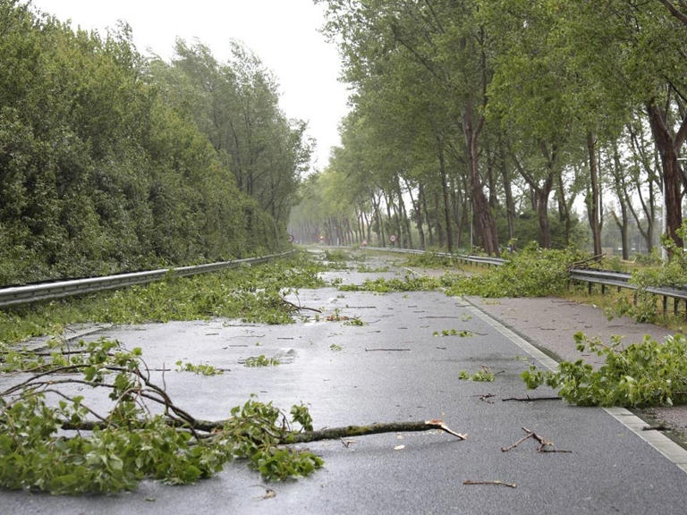 Storm damage closes Centennial Beach, impacts other parks in Naperville