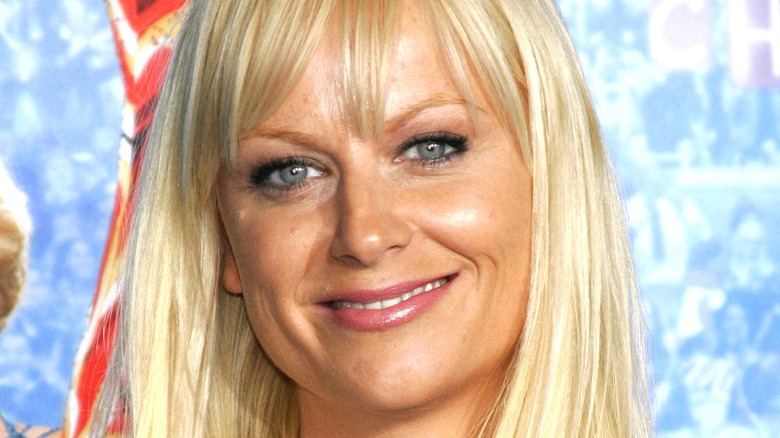 The transformation of Amy Poehler from childhood to Parks and Recreation