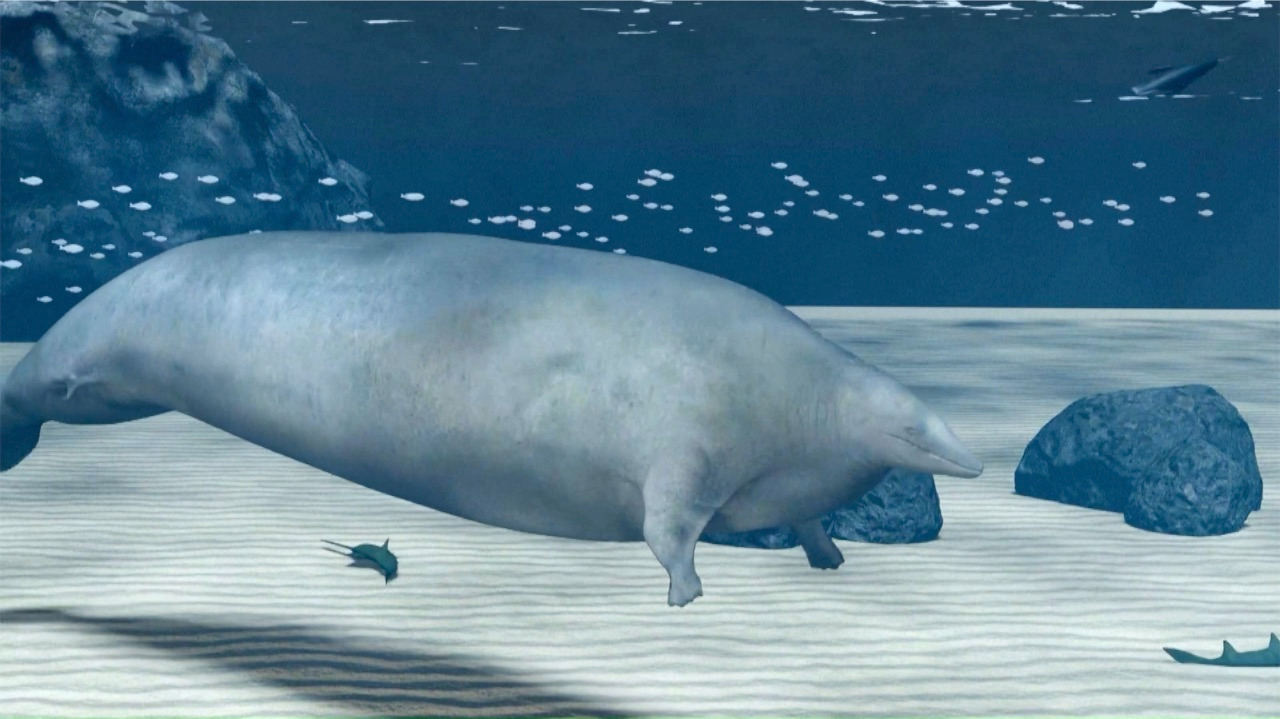 Ancient whale fossil may be Earth's largest creature ever