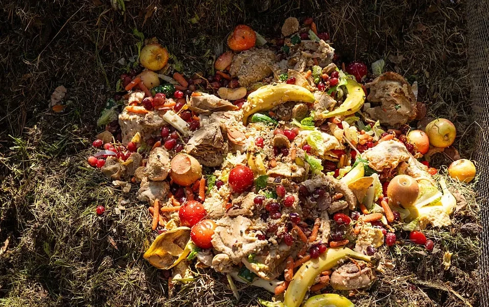 Composting tips to turn scraps into garden gold