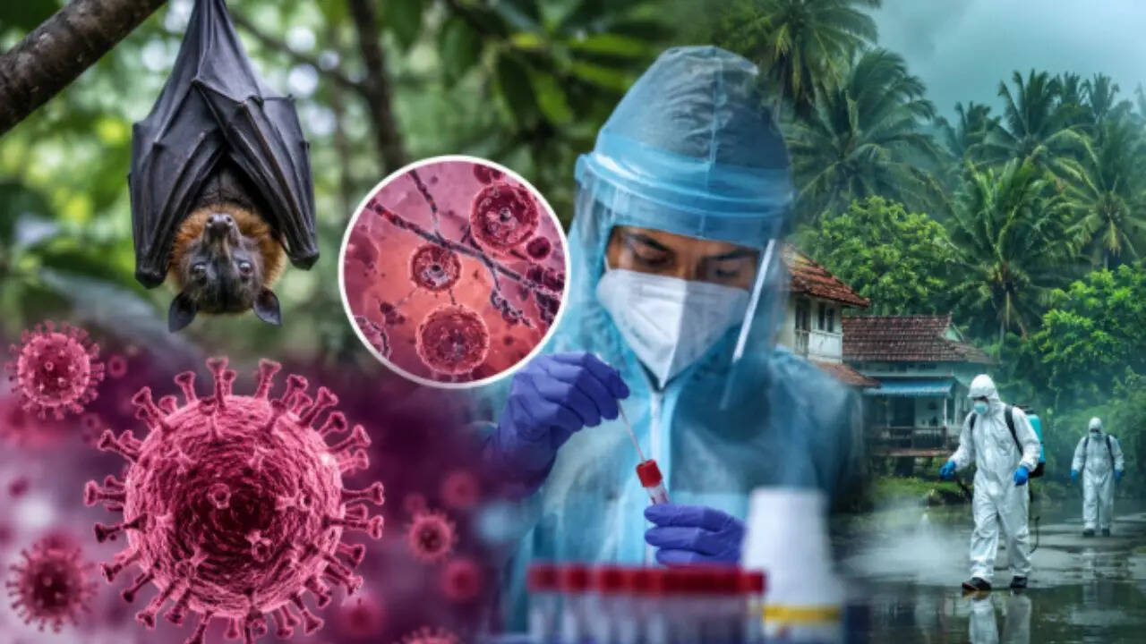 Nipah virus alert in Kerala: All you need to know about this zoonotic ...