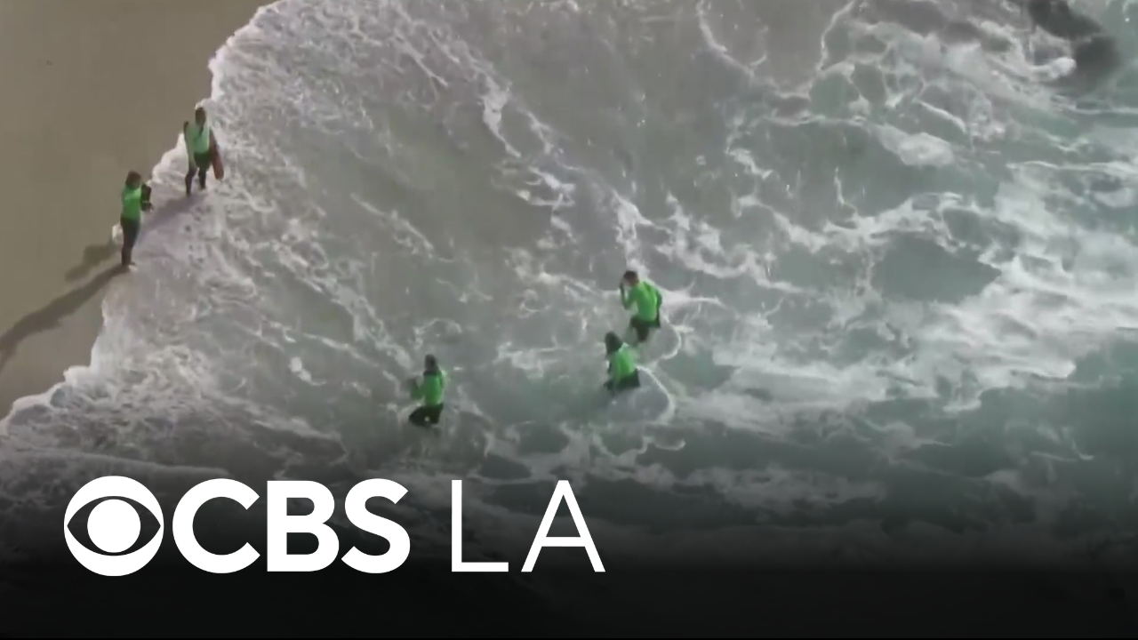 5-year-old girl still missing after getting swept away by powerful wave ...
