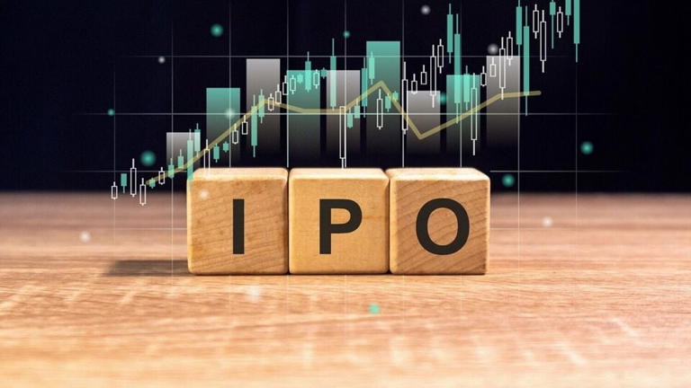 Hexagon Nutrition IPO GMP signals positive listing tomorrow - Check ...