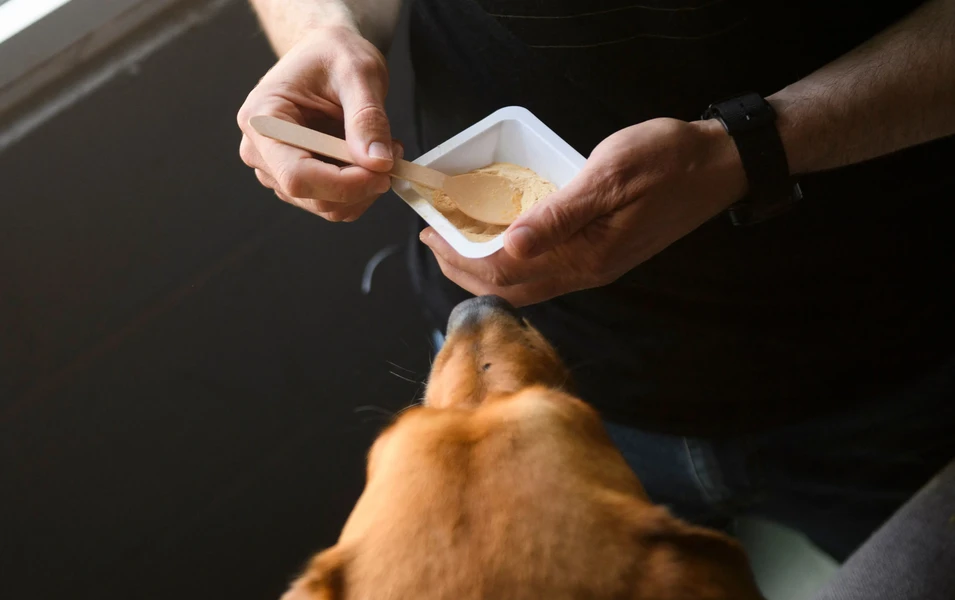 Why pet parents trust human-grade dog food
