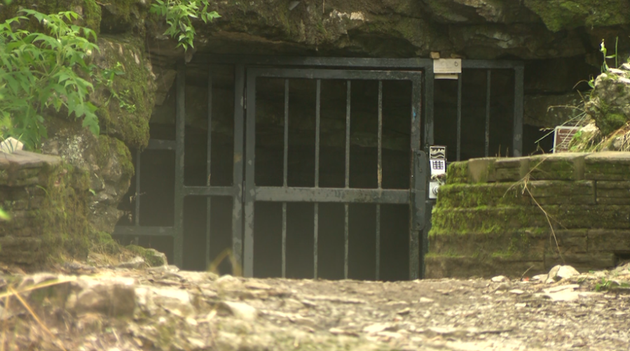 Like a perfect storm: 13 saved in double cave rescue