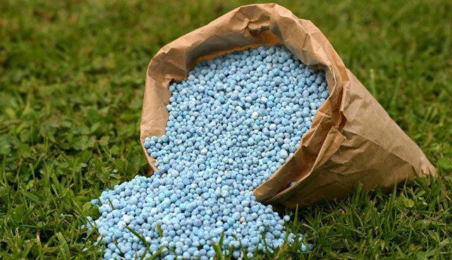 Govt ensures robust urea availability for Punjab’s Kharif 2026 season