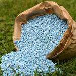 Govt ensures robust urea availability for Punjab’s Kharif 2026 season