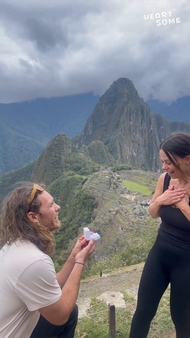 Man proposes to his love with a llama in a unique romantic moment