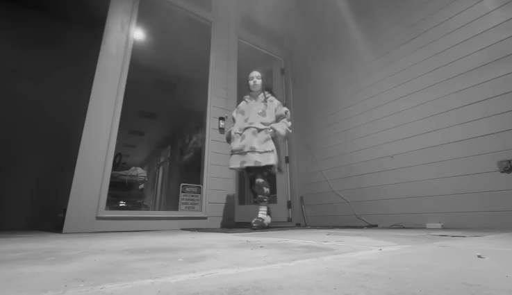 They thought she vanished in the middle of the night - then the camera ...