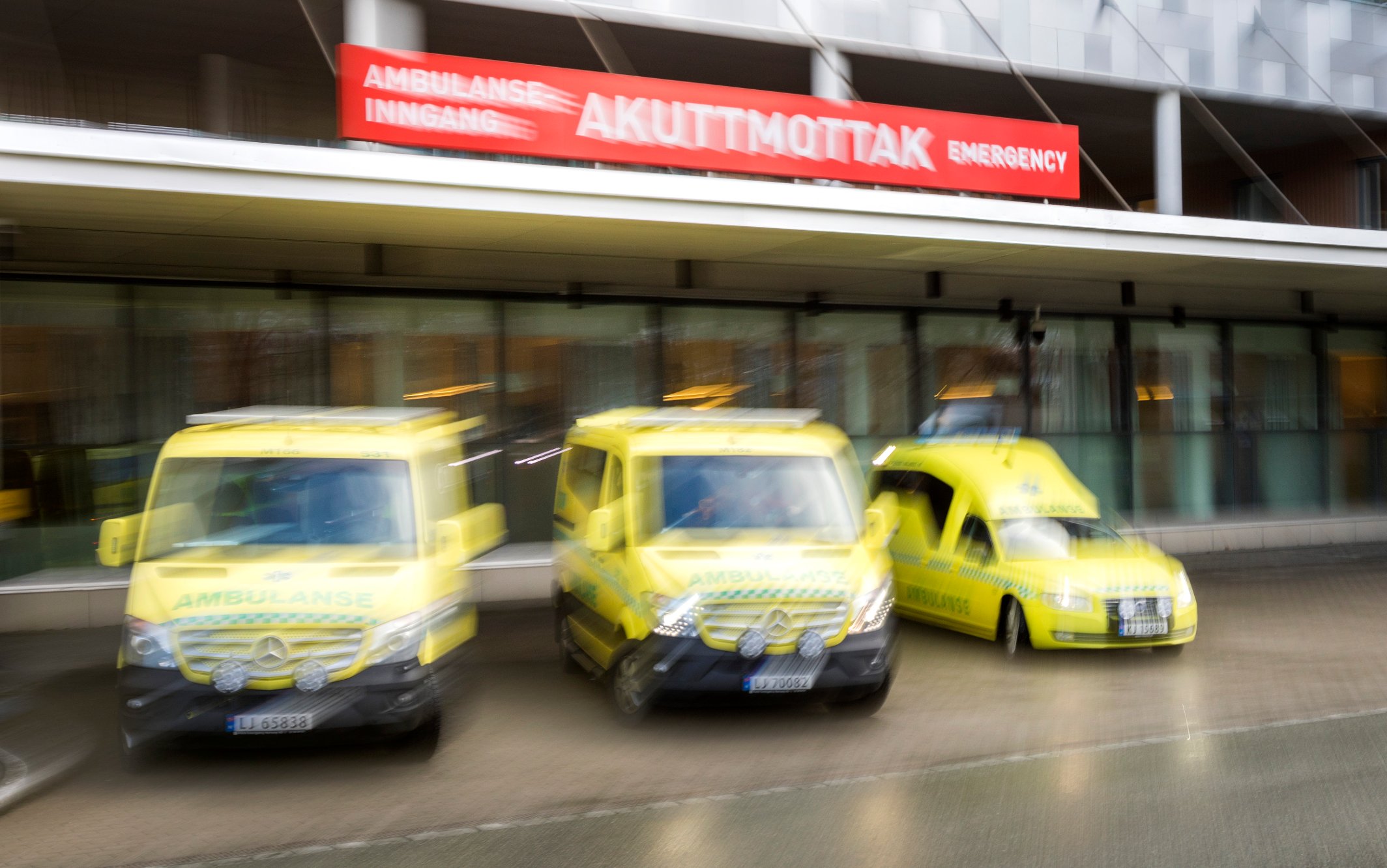 Tenåring omkom etter kollisjon med elg
