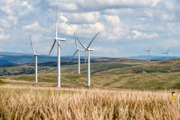 Bournemouth interest in green careers falling despite growing in other ...