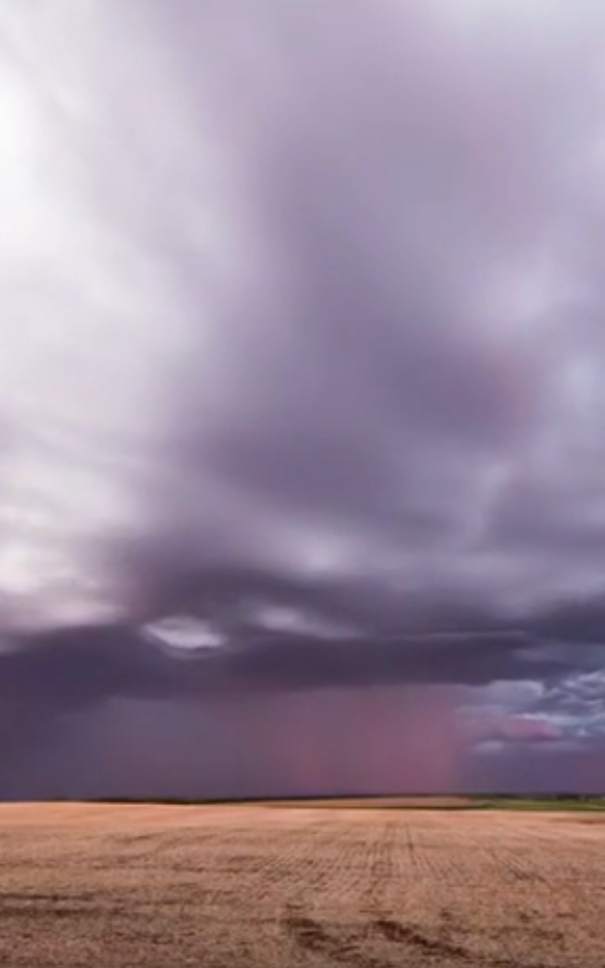 Undulatus asperatus in motion: Rare sky phenomenon timelapse