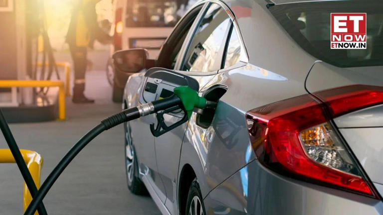 Govt exempts higher ethanol blended petrol from excise duty