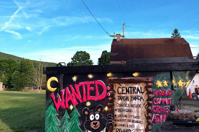 Rural hotel owner paints a message on dumpster after repeat bear raids ...