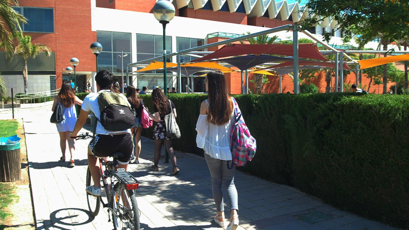 UMH: la universidad pública donde debes estar