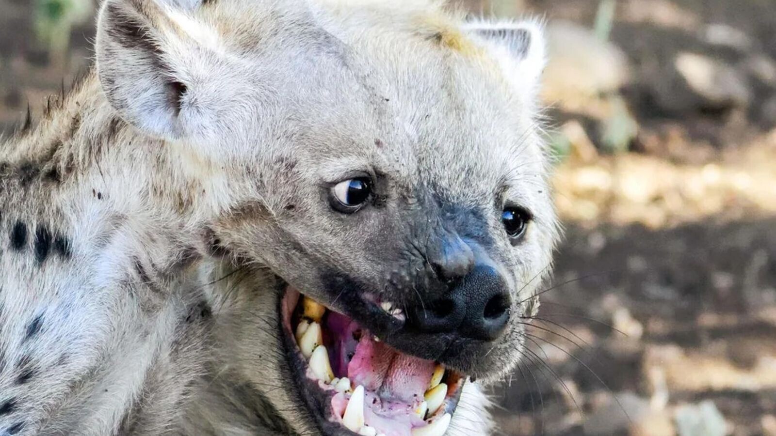 Photos that aren't quite what you thought at first