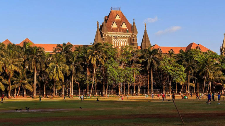 Man must pay child maintenance even if unemployed: Bombay High Court