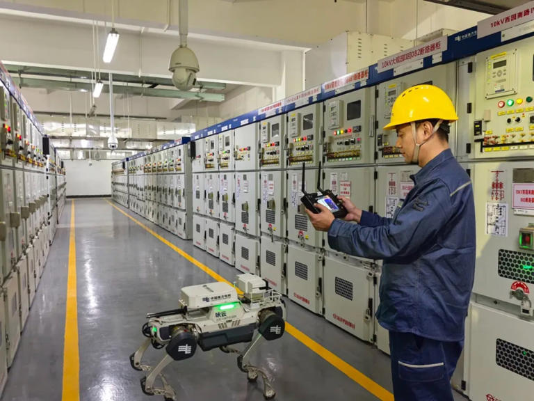 Don’t panic if you see a snake on a Chinese power line. It might be a robot