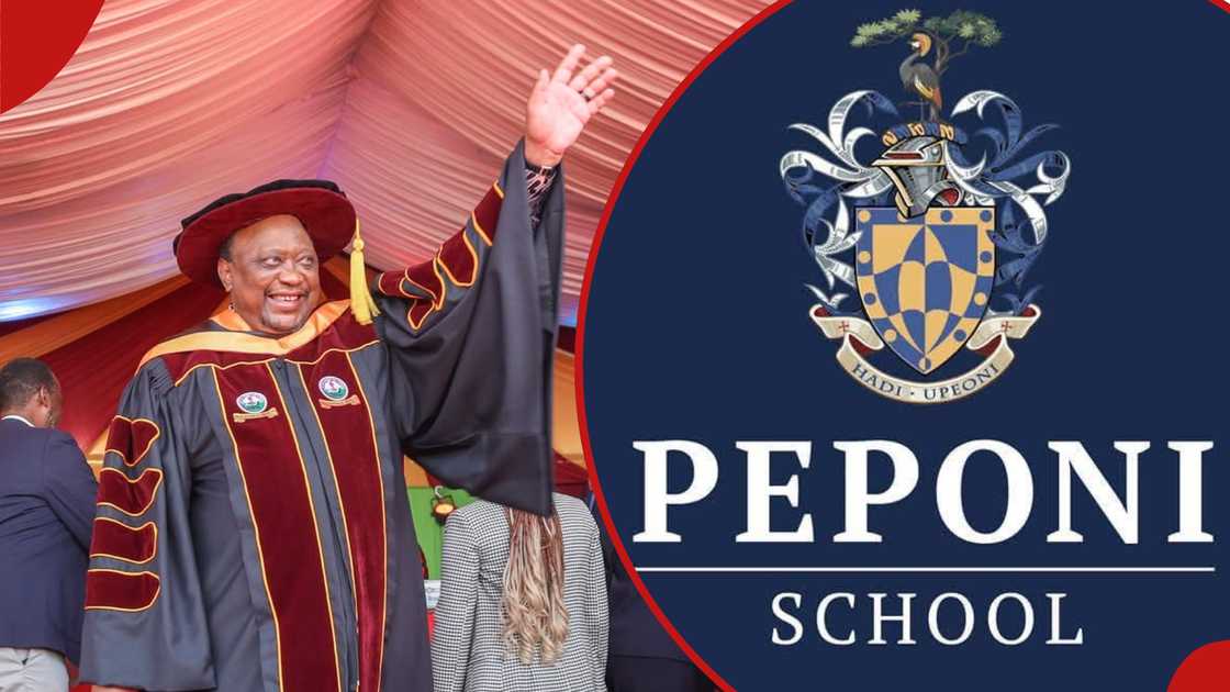 Northlands City: How much it costs to study at Peponi School inside ...