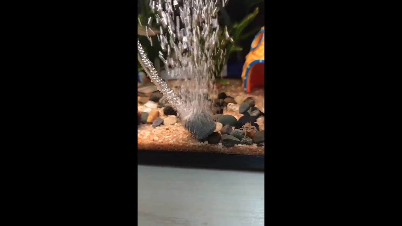China: Schattig zandkrabbetje speelt met waterbelletjes
