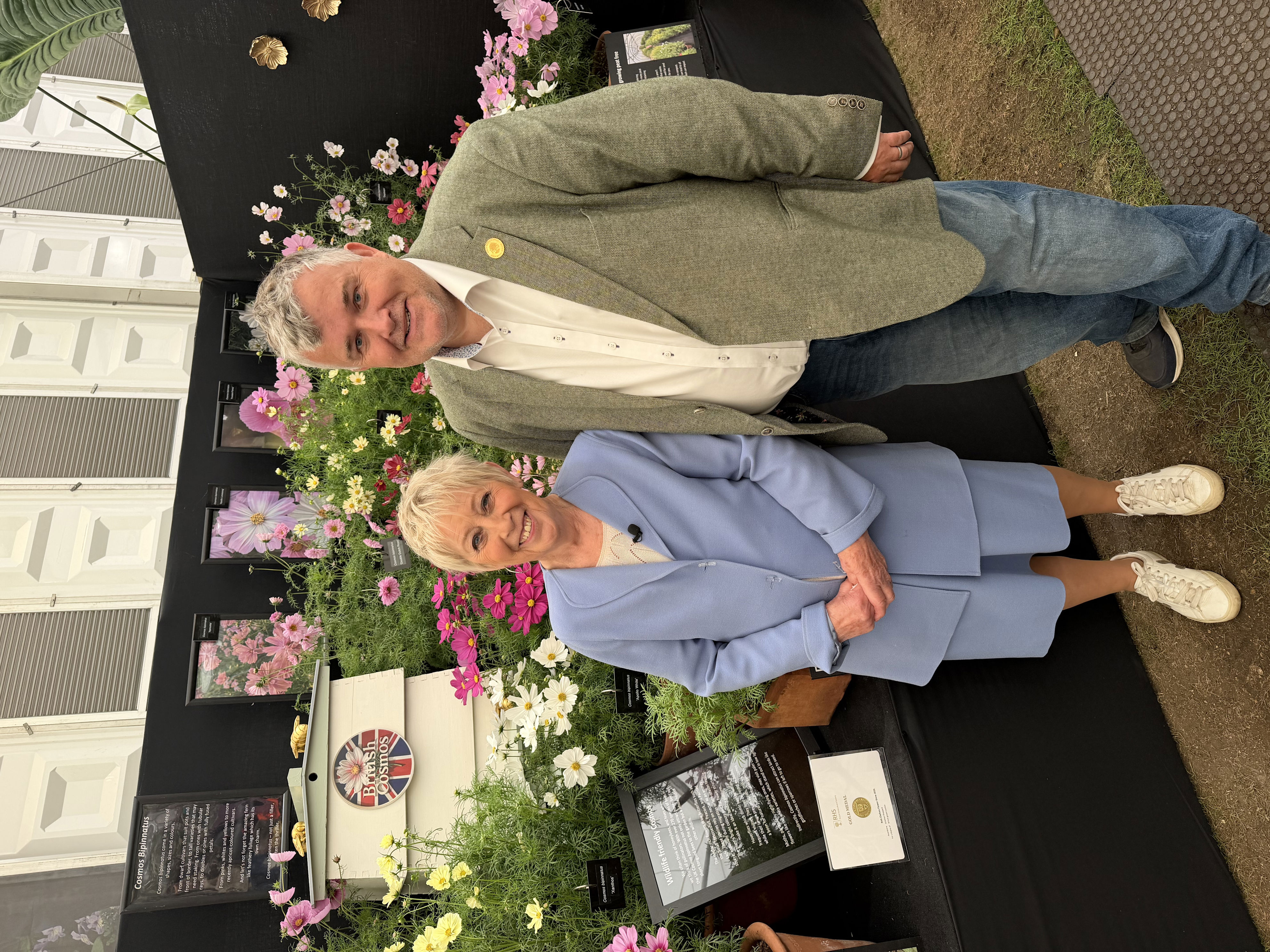 Local cosmos grower wins second Chelsea Flower Show gold medal