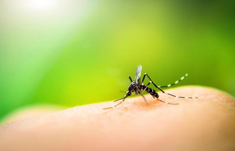Dead birds in Benton County. 1st West Nile virus in WA in 2026