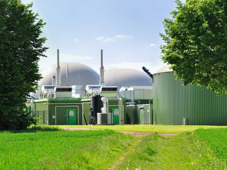 Mix energetico nazionale: il potenziale nascosto di biogas e biomasse ...