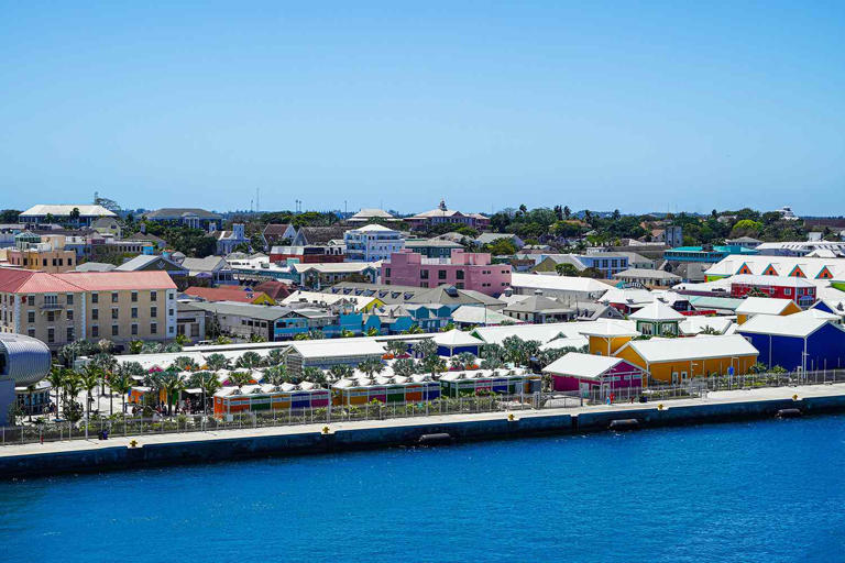 5 American cruise ship passengers arrested amid 'violent struggle' with ...