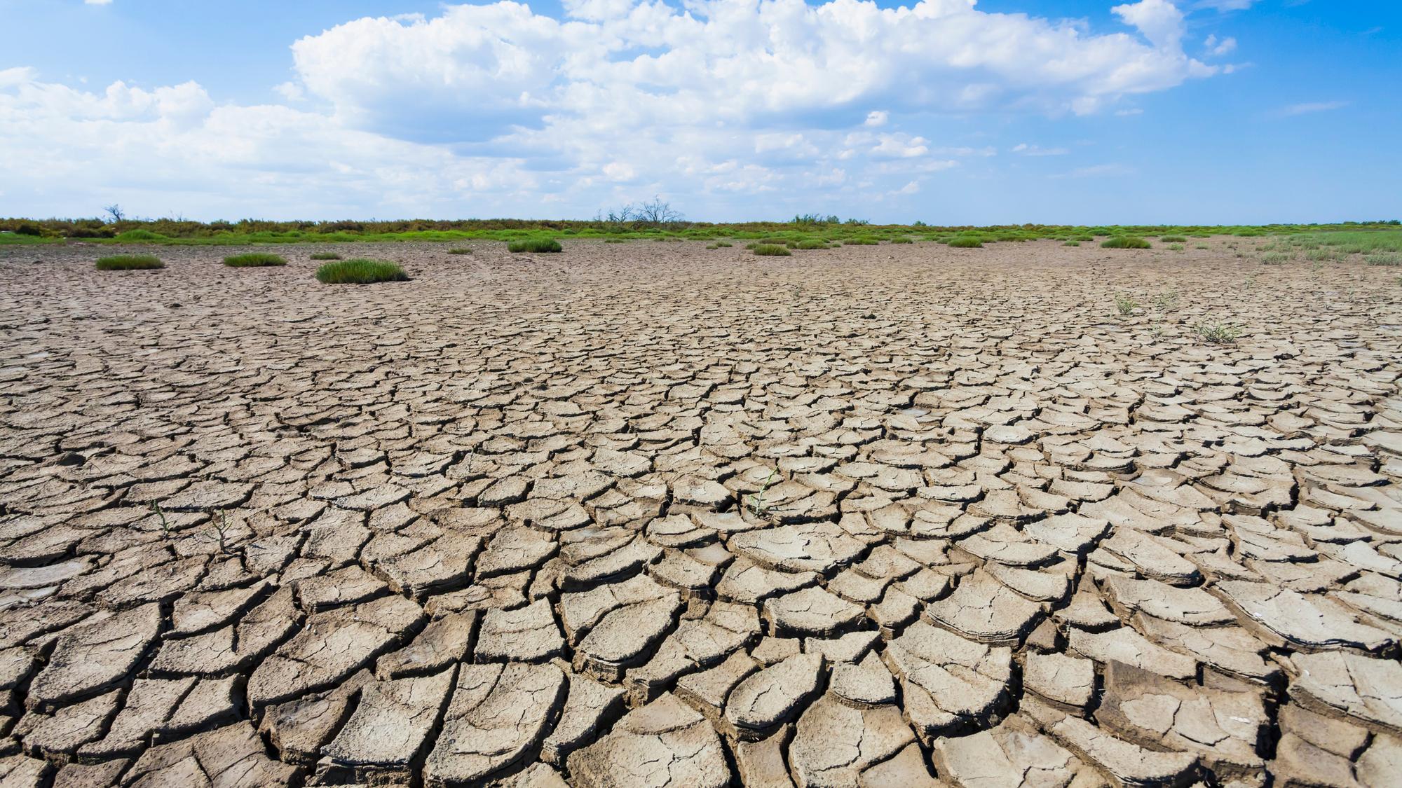 Réchauffement climatique : avec des hausses records des températures, l ...