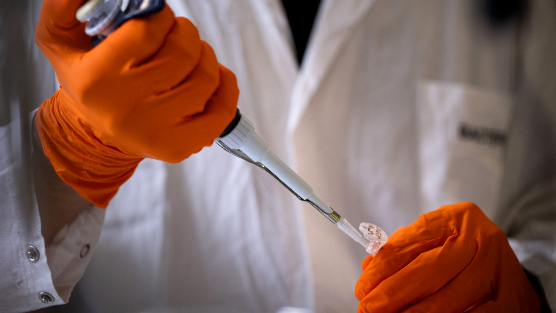 Vaccino universale: quanto siamo vicini alla protezione contro i virus ...