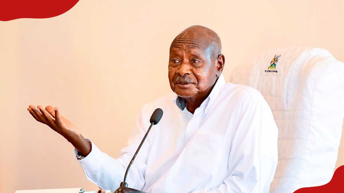 Yoweri Museveni warns Ugandans against eating monkeys, wild meat as ...