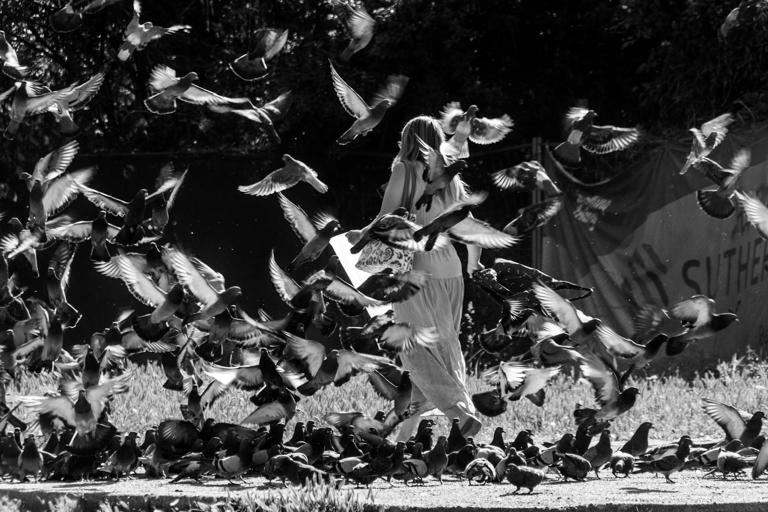 Birds are terrified of women (and scientists have no idea why)