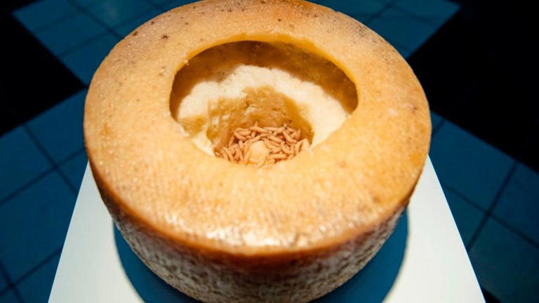 Simulation shows danger of eating world's most dangerous cheese ...