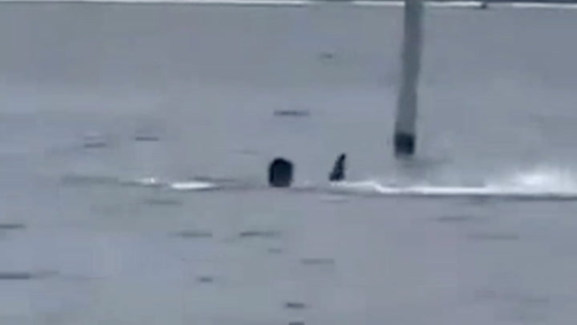 Man attacked by shark while swimming during lunch break at Florida ...