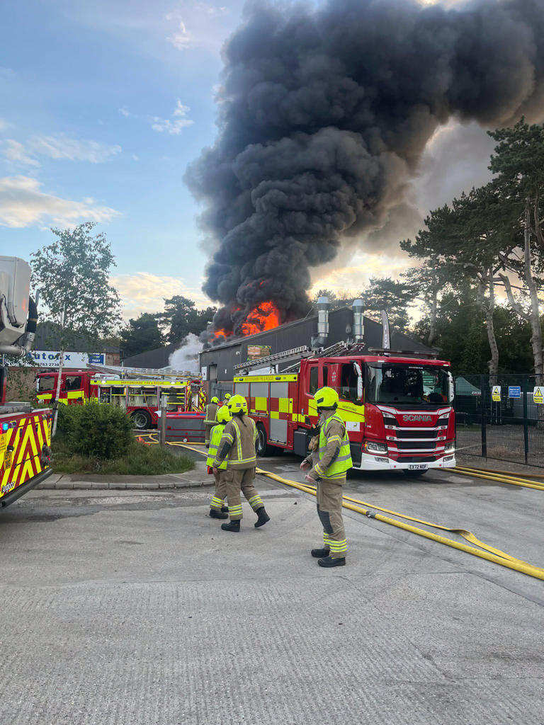 Fire rips through children’s mini zoo killing every animal inside