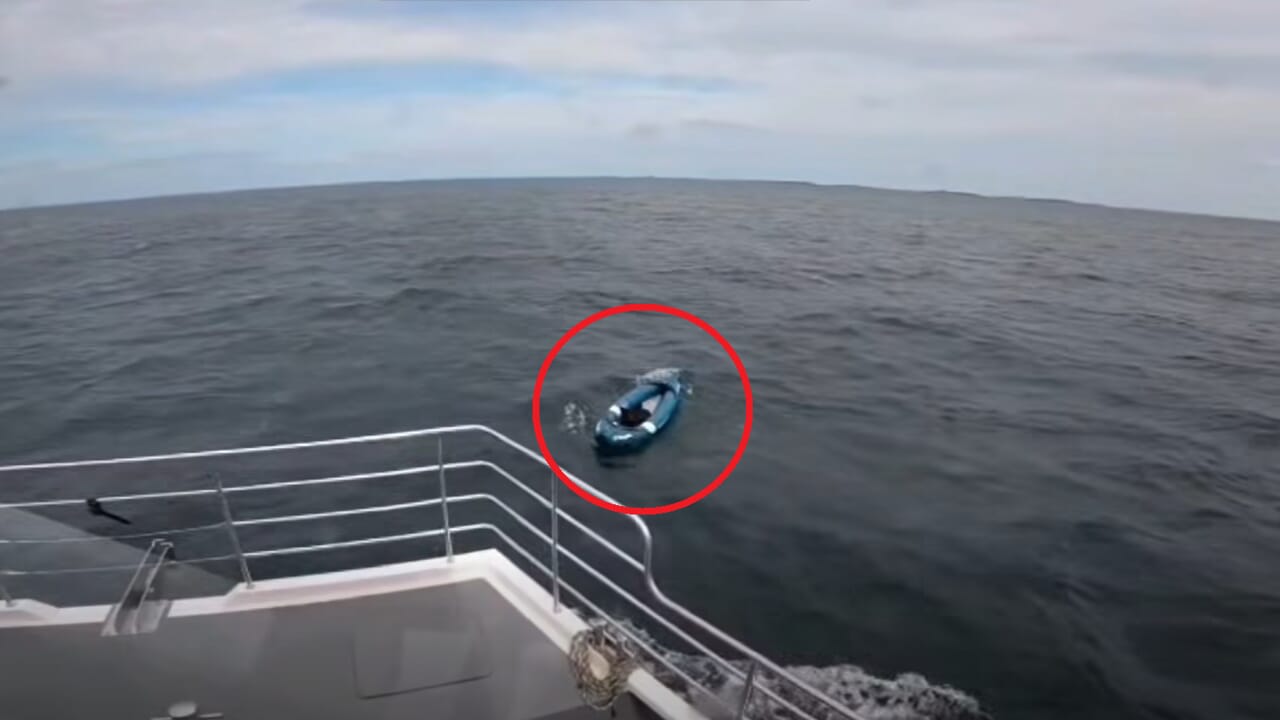 Bruce alla deriva sul kayak nel Mare del Nord: salvato dopo cinque ...