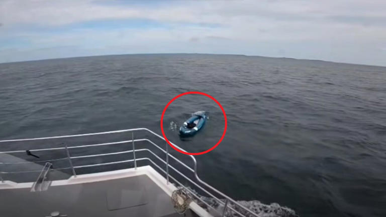Bruce alla deriva sul kayak nel Mare del Nord: salvato dopo cinque ...