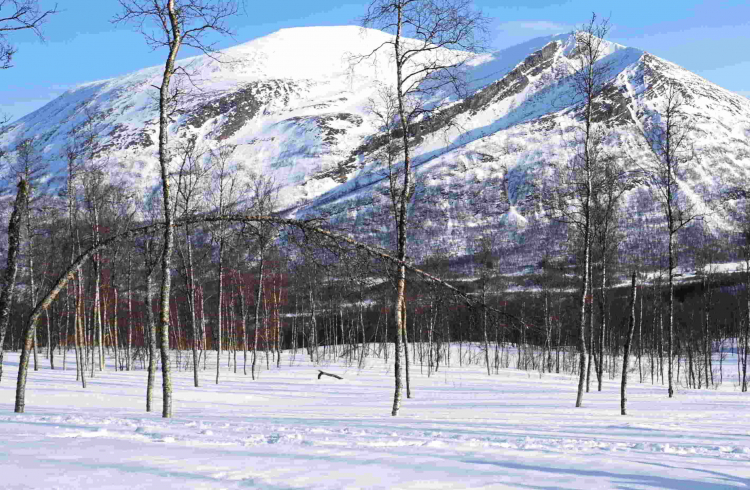 The US needs an Arctic strategy it can sustain
