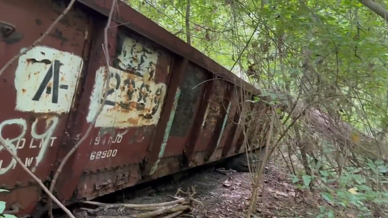 They came looking for a forgotten place - then found the tracks that ...