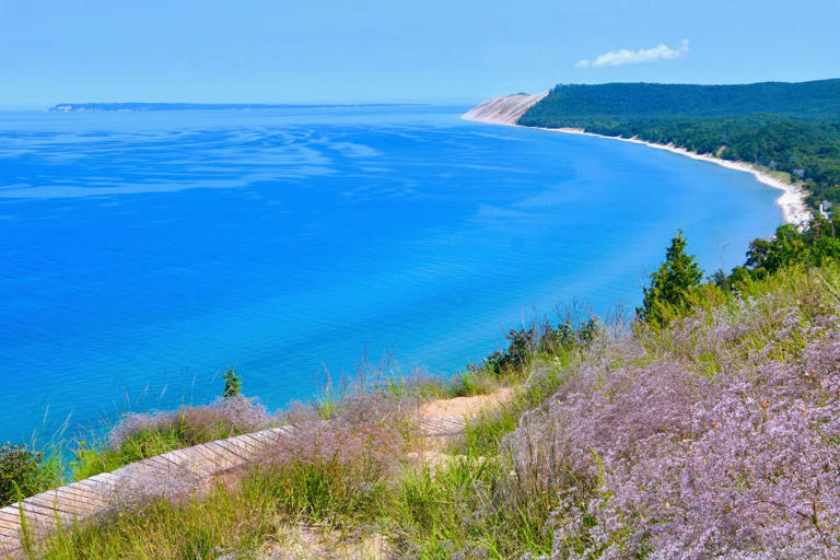 Michigan has more rattlesnakes in lakes than you think—here are 6 ...