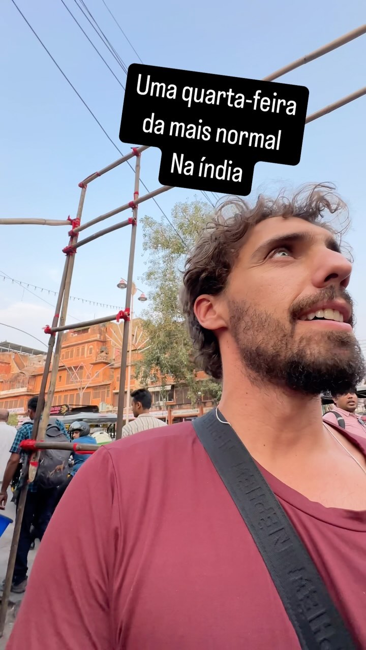 Na Índia, macacos fazem parte do dia a dia das pessoas em todo lugar
